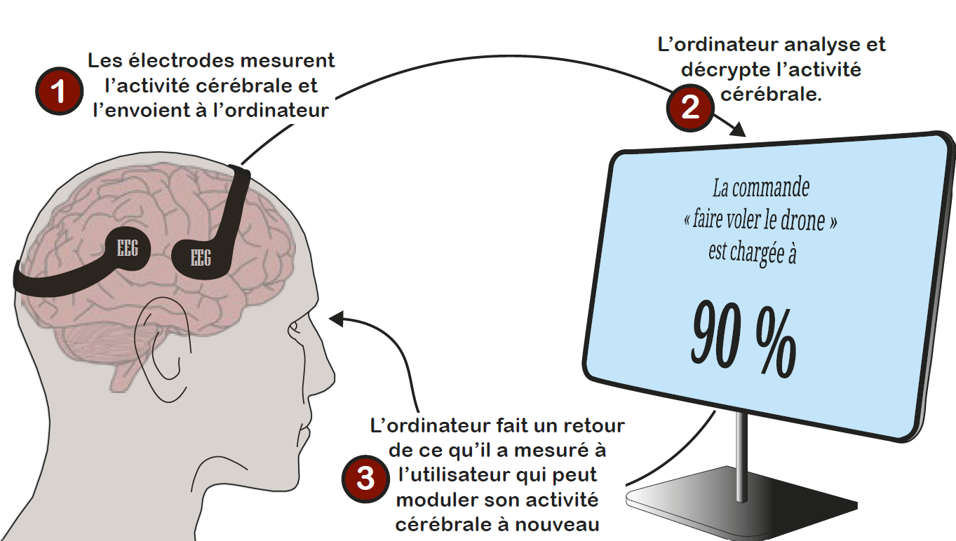 Le marché des interfaces cerveau-machine : entre dystopie et ...